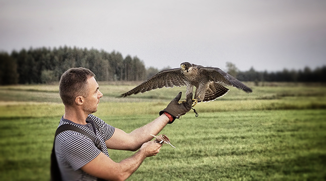 Sokolnik, kol. Adam Zieliński – Koło Łowieckie Darz Bór Gliwice